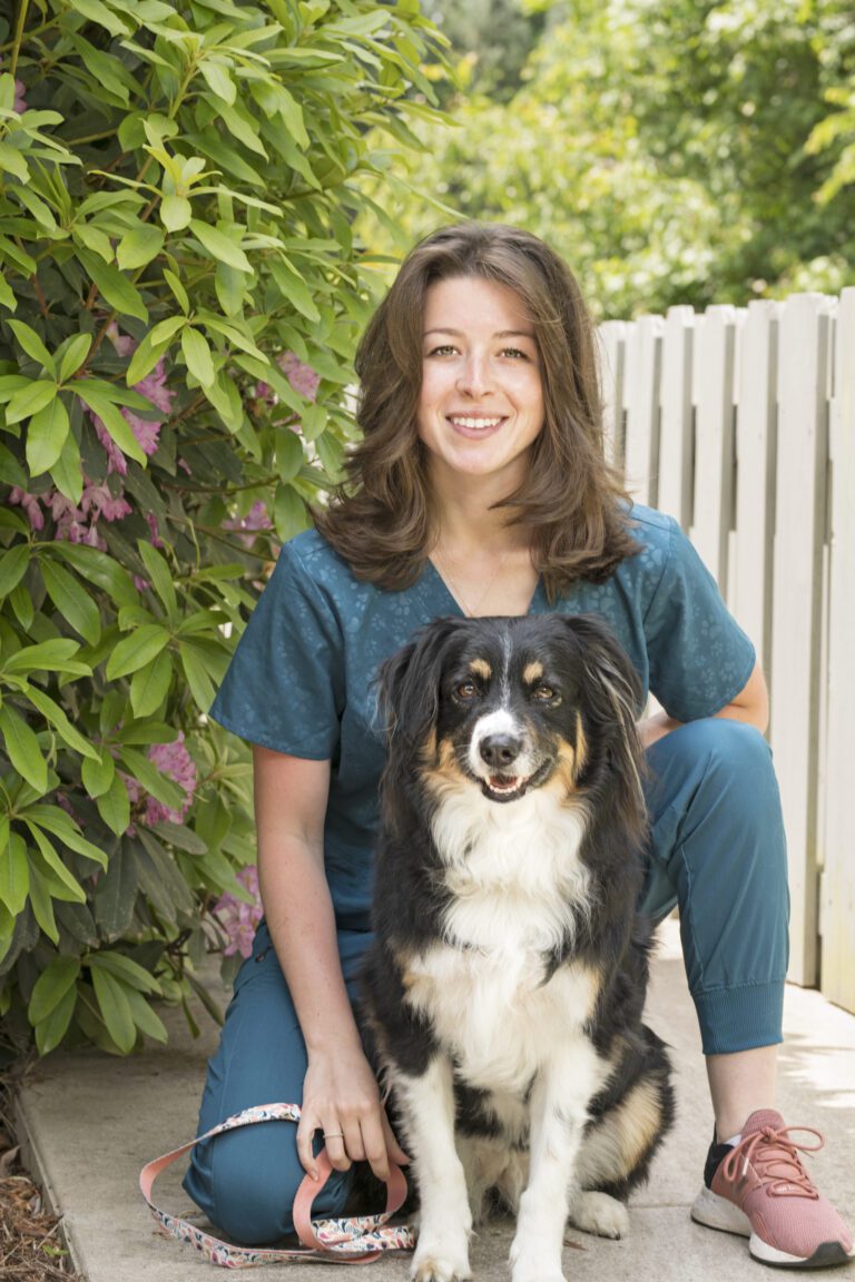 Veterinarian In Sherrills Ford, NC 28673 | Veterinary Hospital At The Lake